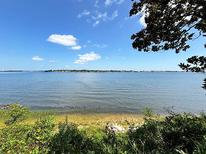 The St. Johns River stretches toward the horizon, its waters carrying stories from Timucua canoes to French sailing ships to modern pleasure boats.