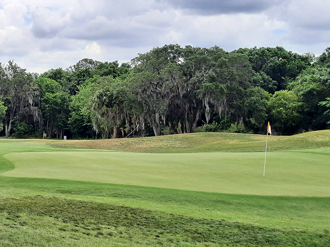 Spanish moss drapes ancient oaks along the fairway, whispering secrets of proper club selection to those willing to listen.