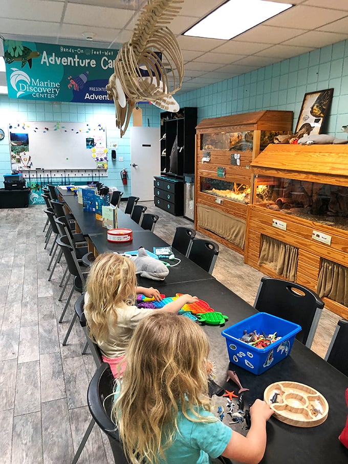 Where future Jacques Cousteaus are born: The activity room transforms children into scientists through play and discovery.