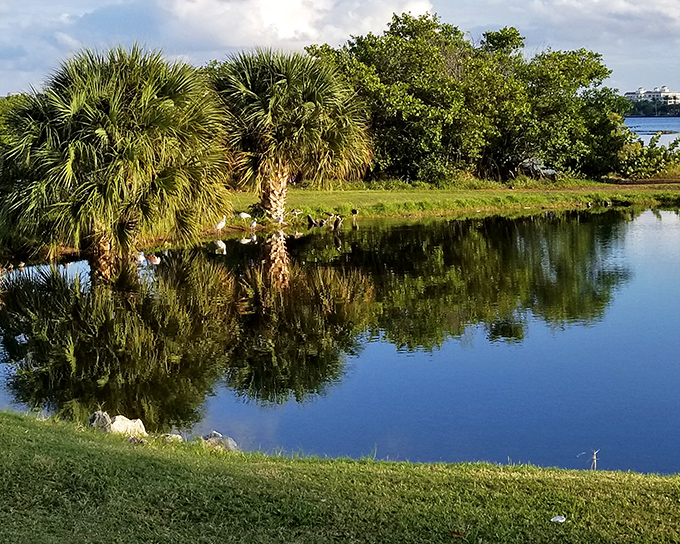 John Prince Memorial Park: Palm fronds create natural umbrellas over this serene waterfront park, where Florida's natural beauty remains unspoiled by the usual tourist trappings.