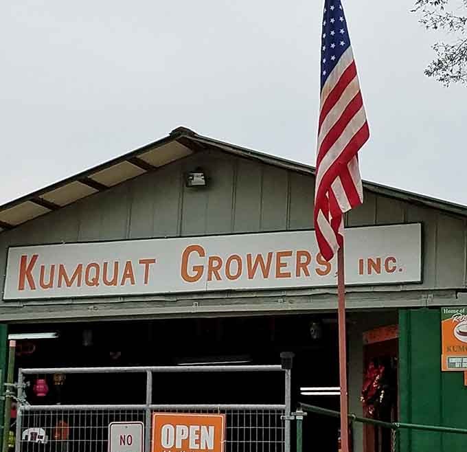 The main building at KumQuat Growers stands proud under the American flag, headquarters for all things kumquat in Dade City's agricultural heartland.