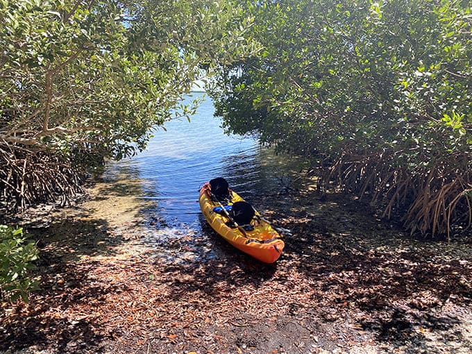 Paddling through paradise, one stroke at a time, wondering why you don't do this every single weekend.