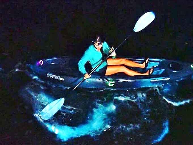 Science meets magic as a paddler disturbs the water, triggering millions of dinoflagellates to create that characteristic otherworldly blue glow.