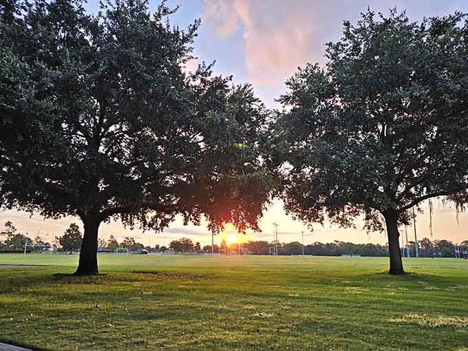 When Mother Nature decides to show off with sunsets like this, you realize why people call Florida paradise, even the trees seem to be applauding.