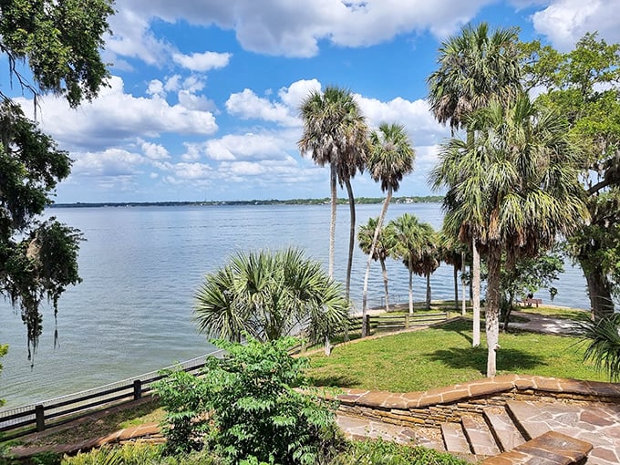 Philippe Park's ancient oaks and Spanish moss create the kind of Southern Gothic scenery that makes you want to write a novel or at least a decent Instagram caption.