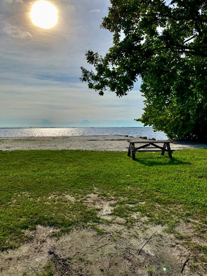 The perfect picnic spot awaits, where your sandwich tastes gourmet and your company feels grateful, all thanks to that million-dollar waterfront view included free.