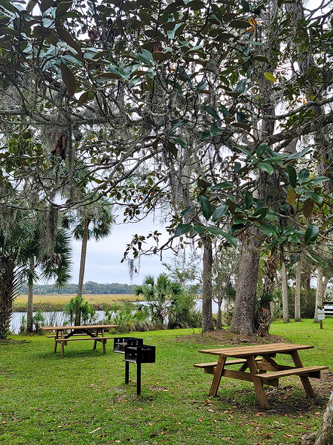 Picnic paradise with a side of history &ndash; these tables offer front-row seats to nature's slow-motion reclamation project.