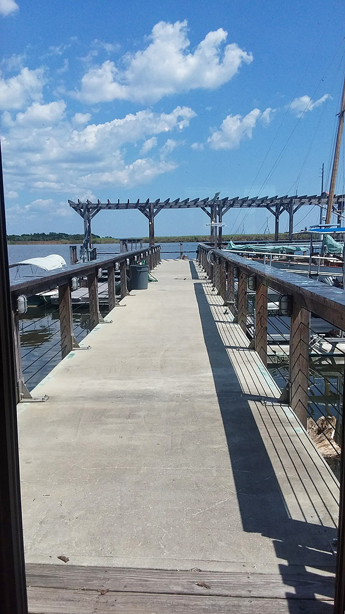 The museum's pier stretches toward adventure, with boats waiting to transform curious tourists into temporary sailors on Apalachicola's historic waters.