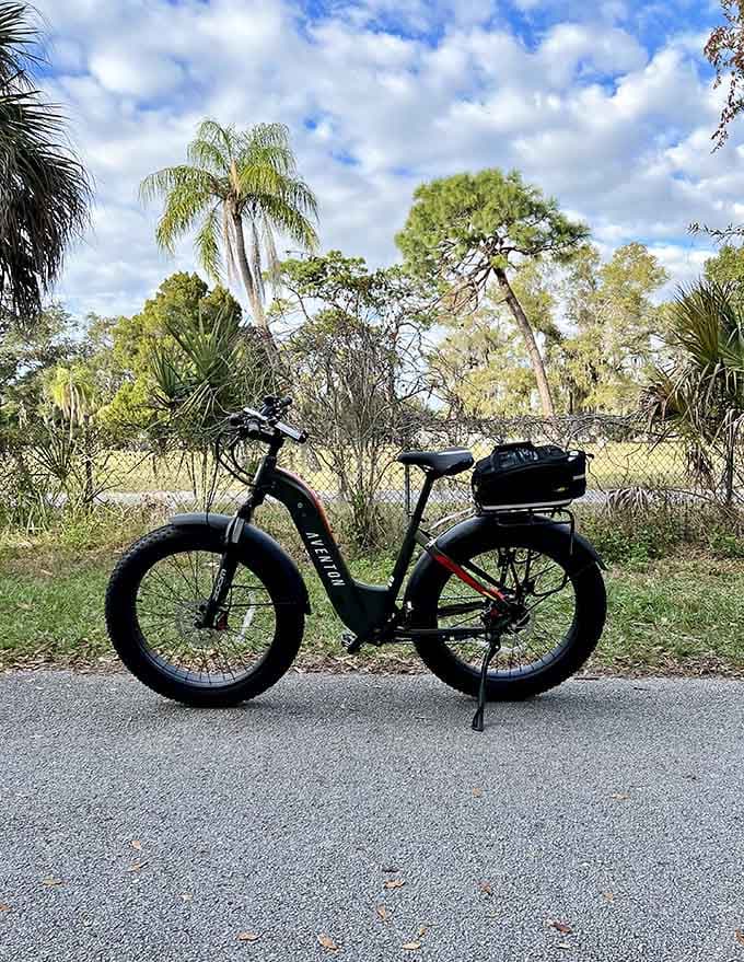 Fat-tire bikes handle the trail with ease, their chunky wheels ready for adventure even though this perfectly paved path requires exactly zero off-road capability.