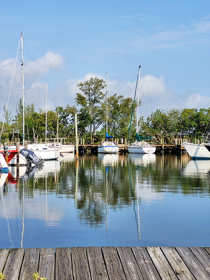 The marina's gentle forest of masts sways with the tide, each boat holding promises of adventures beyond the horizon.