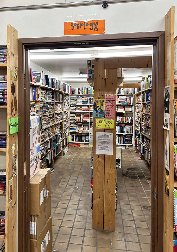 Aisles stretch into infinity, creating a book maze where getting lost is half the fun and finding your way out requires willpower.