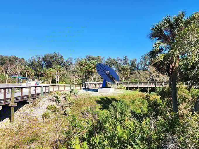 The massive solar panel sculpture captures both sunlight and imagination, a blue beacon of renewable energy amid Florida's natural splendor.