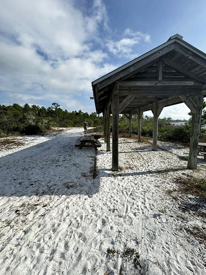 Winter transforms Tate's Hell into a wonderland where sugar-white sand mimics northern snow, minus the shoveling and frozen fingers.