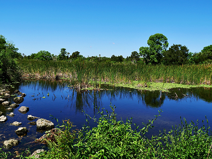 Summer transforms the landscape into a lush green paradise, where the sky and vegetation compete for which can display the most vibrant colors.