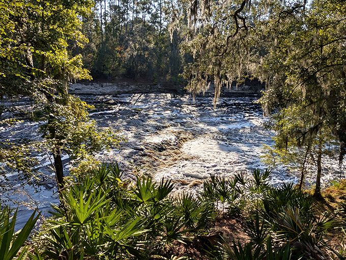 Summer's embrace turns Big Shoals into a symphony of greens, where rushing water provides nature's air conditioning.