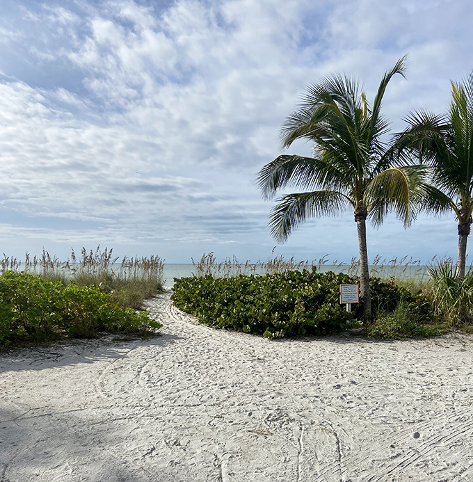 Summer season: Palm trees frame the path to Sanibel's summer pleasures, where even the plants seem to whisper "slow down, you're on island time now."