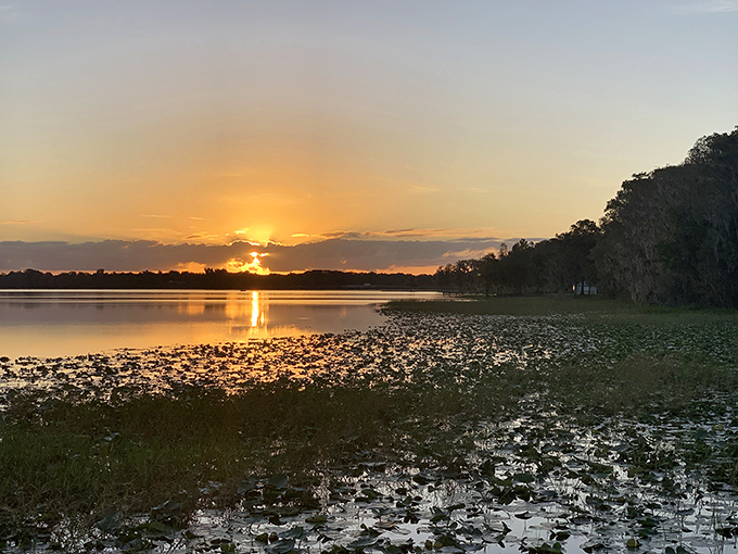 Florida sunsets over Cooter Pond – when Mother Nature flexes her painting skills and makes everyone's photos look professional.