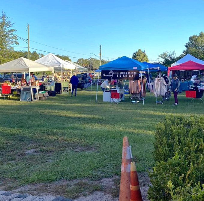 Local vendors transform the schoolhouse grounds into a vibrant marketplace during special events, blending history with community connection.