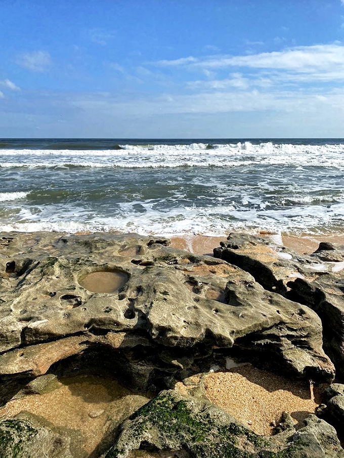 Each rocky depression becomes a miniature aquarium during low tide, revealing the ocean's secrets in bite-sized portions.