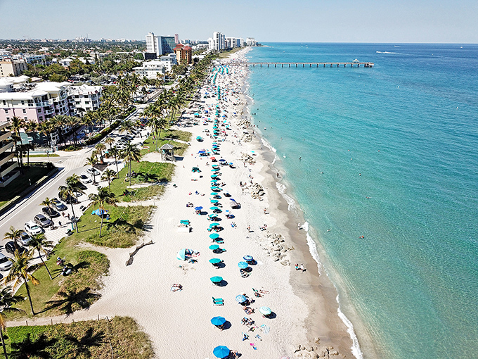 The coastline unfurls like nature's welcome mat, with the pier extending into waters so blue they'd make Sinatra jealous.