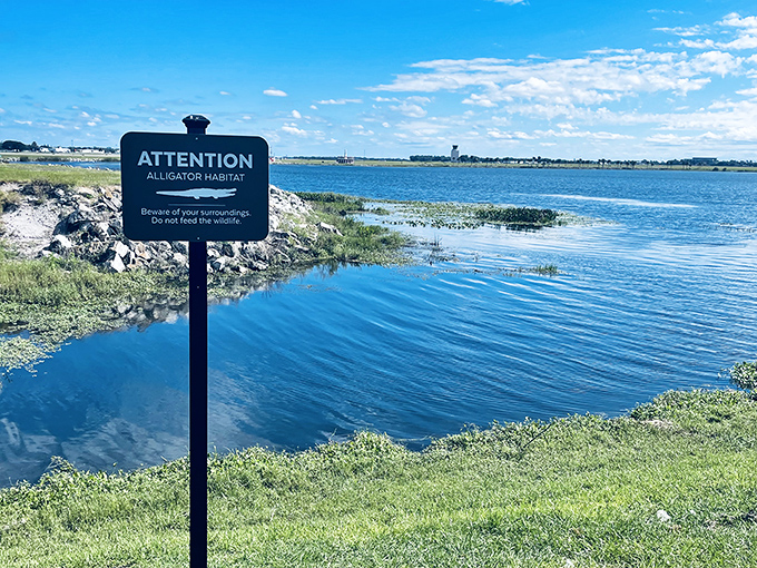 This unassuming post stands sentinel, quietly reminding visitors of the park's rules while the real adventure unfolds all around.