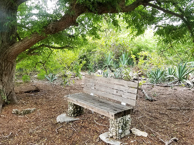 This isn't your average park bench &ndash; it's a front-row seat to one of Florida's most fascinating historical shows.