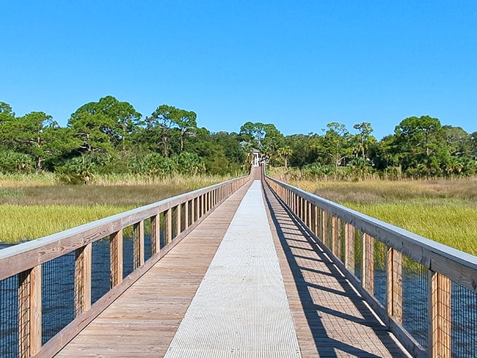 This boardwalk stretches through marshlands like a wooden welcome mat to nature's most pristine corners of Florida's forgotten coast.