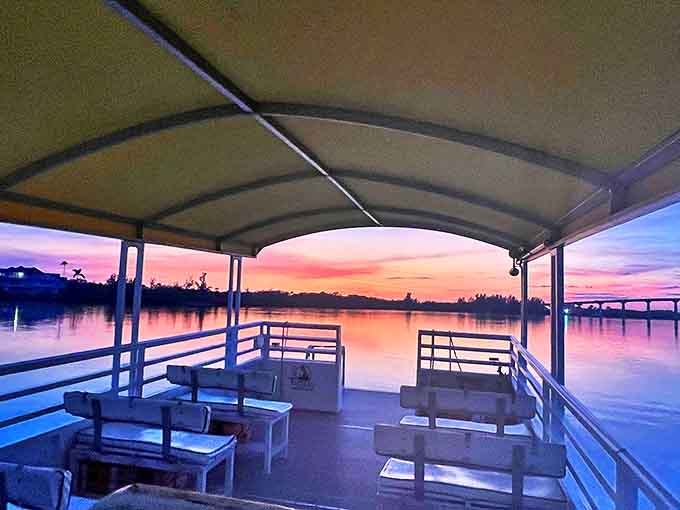 Sunset boat tours transform education into magic, with dolphins occasionally providing free entertainment during your floating classroom experience.