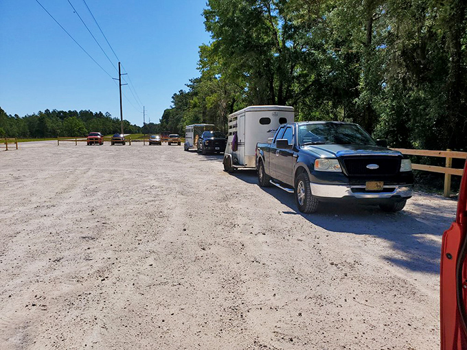 The parking area serves as civilization's last outpost before you trade engine sounds for birdsong and meeting notifications for trail markers.