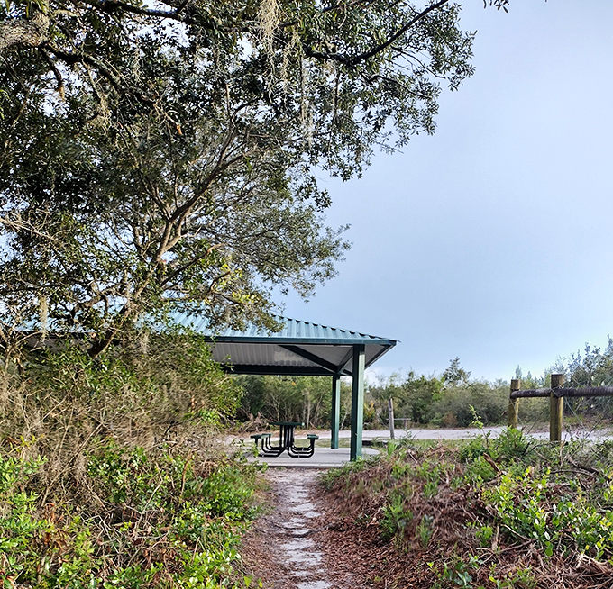 This shaded picnic area provides a perfect rest stop for trail explorers, where nature's dining room comes with a view.