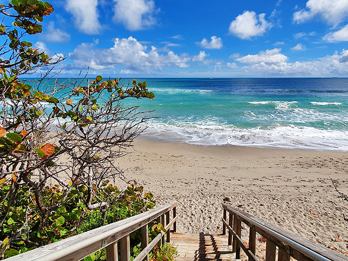 These wooden steps invite you down to paradise – just follow them to where the Atlantic whispers secrets to the shore.