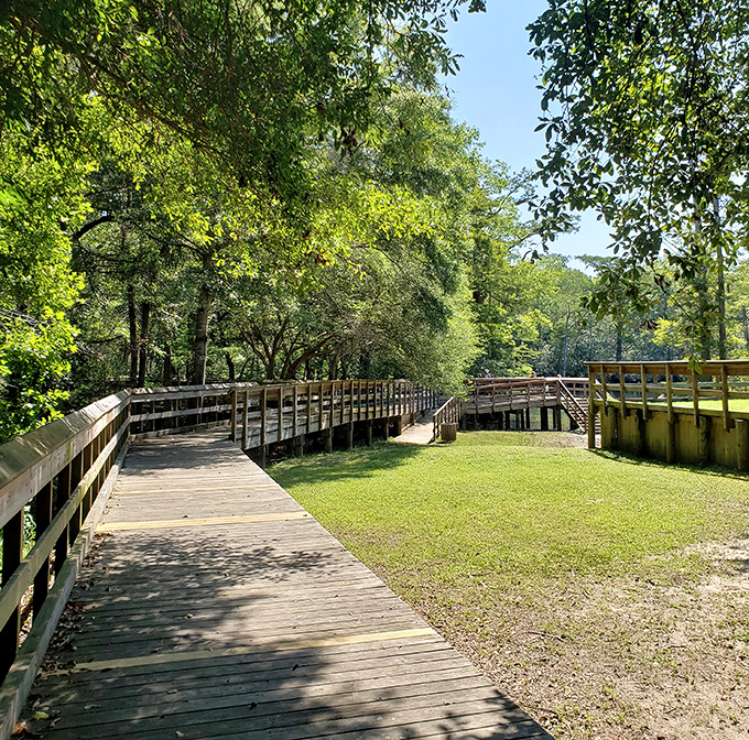 The park's thoughtful design blends harmoniously with nature, proving sometimes the best attractions don't need flashy entertainment to impress.