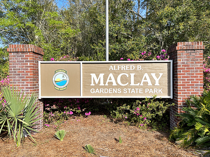 The park's entrance sign welcomes visitors with classic Florida charm, framed by native palms and vibrant azaleas.