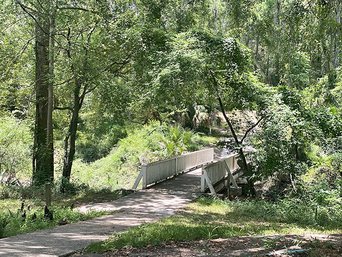 A simple wooden bridge connects two worlds, inviting adventurers to cross over to whatever natural wonders await on the other side.