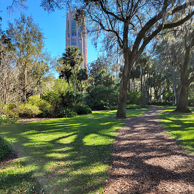 Dappled sunlight plays across the garden path, creating nature's version of a disco floor without the questionable dance moves.