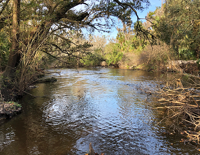 Following footsteps of history: trails wind through ecosystems that have remained unchanged since indigenous peoples first discovered these waters.