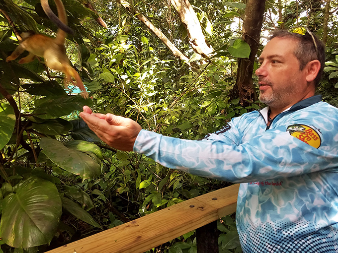 A visitor extends a hand toward a curious monkey, bridging the gap between species in a moment of connection that defines the Monkey Jungle experience.