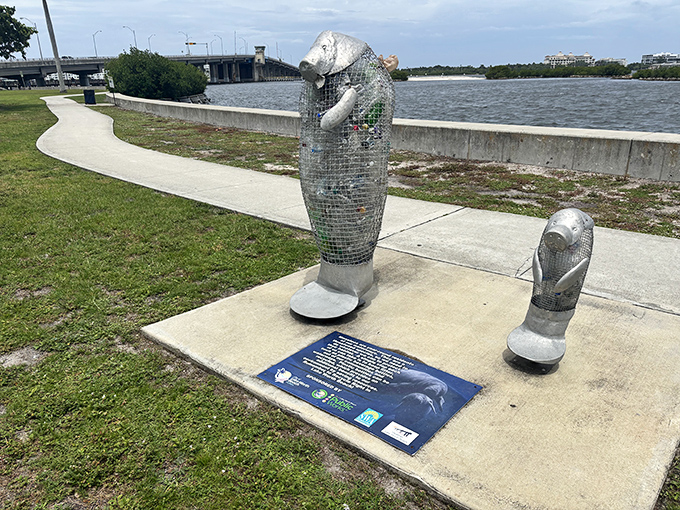 Wire mesh manatee sculptures serve as both public art and environmental education, highlighting the lagoon's important marine residents.