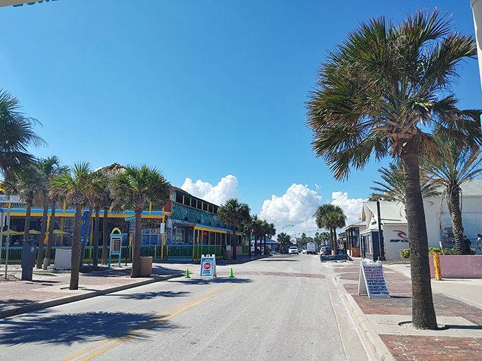 New Smyrna Beach's coastline stretches for miles, offering both Atlantic Ocean views and access to the calmer Intracoastal Waterway.