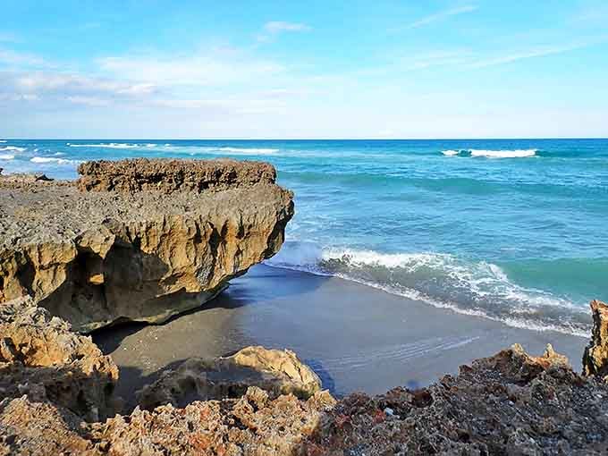 Dramatic limestone formations at Blowing Rocks Preserve create a rugged coastline unlike anywhere else in Florida.