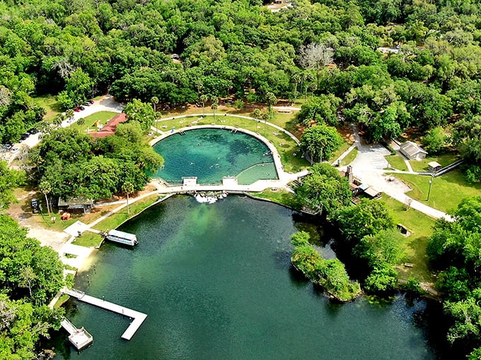 De Leon Springs' historic waterfront creates a peaceful retreat where visitors can swim in crystal-clear waters.