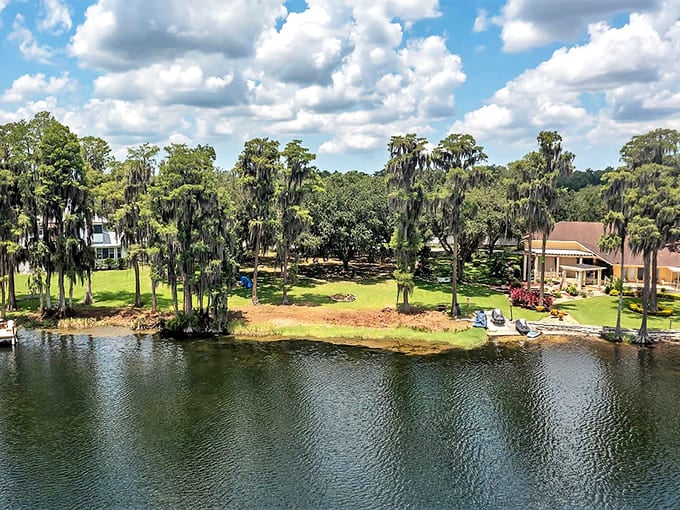 Spanish moss draping over cypress trees in tranquil ponds captures that authentic Old Florida atmosphere that money simply cannot buy.