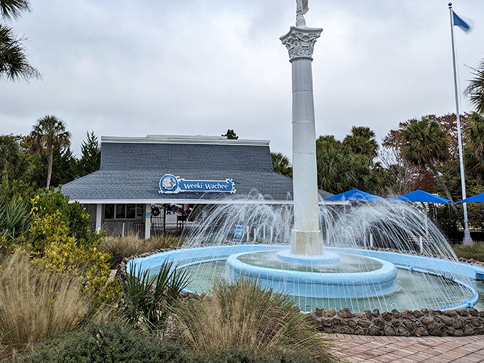 Weeki Wachee's elegant fountain welcomes visitors to the land of mermaids, where underwater performances have delighted families since the 1940s.