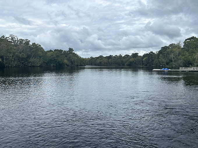 Palm trees and native plants frame the natural swimming area at De Leon Springs State Park.