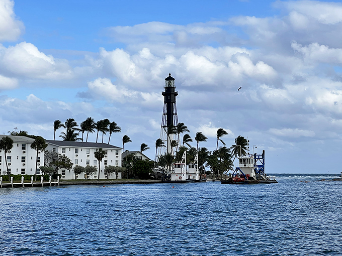 Look at that contrast! The stoic, historic lighthouse stands tall against the bright sky, watching over the deep blue inlet waters and the swaying palms.