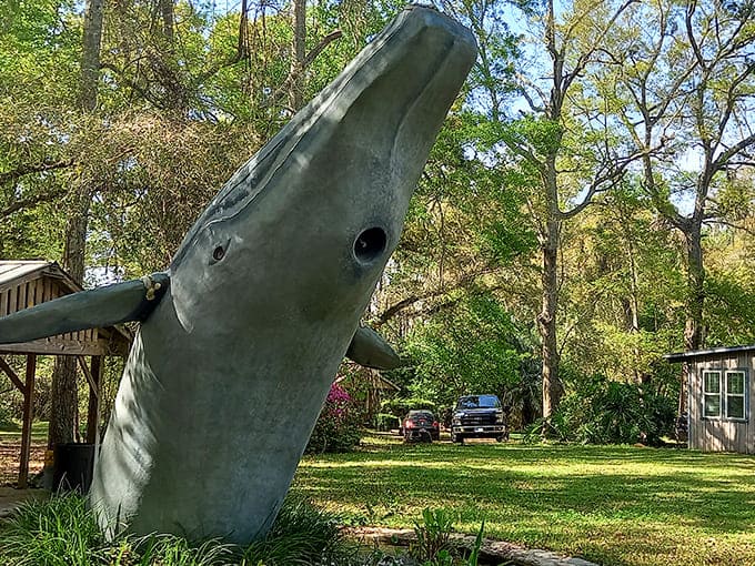 Summer light transforms these concrete cetaceans into something almost magical, like Moby Dick decided to vacation in Tallahassee.