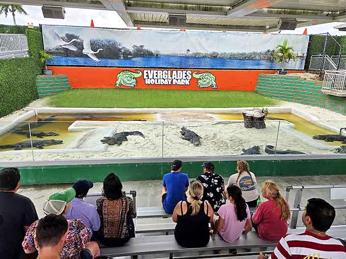 The alligator show draws a crowd of fascinated spectators learning that these prehistoric reptiles are far more interesting than scary, though still plenty scary.