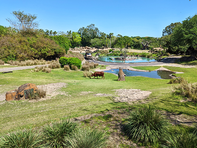 Imagineers transformed ordinary landscapes into extraordinary habitats where stone structures and careful design create authentic animal environments.