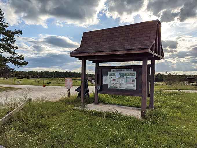 The self-service pay station operates on the honor system, proving that civilization and wilderness can coexist when people aren't terrible.