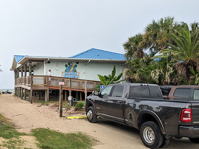 The Blue Parrot Ocean Front Cafe serves up fresh seafood with a side of Gulf views that no five-star restaurant could match.